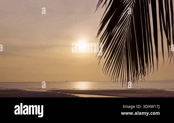 Palm Leaves Framing Sunset Over Tropical Beach Creating Warm Island ...