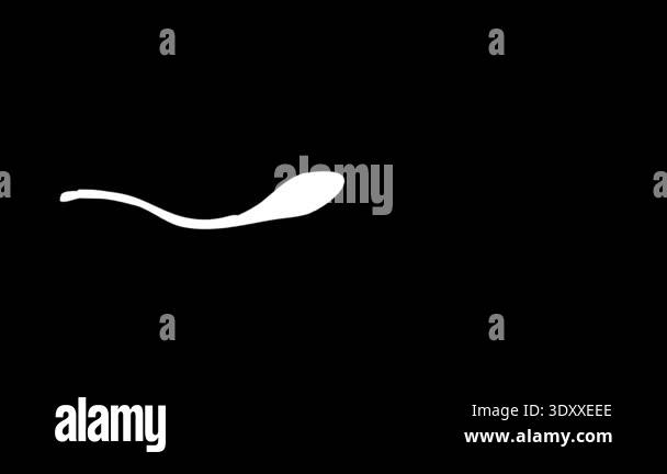 White line animation on black background creating abstract shapes and ...