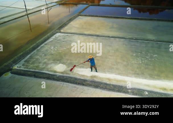 Worker in blue shirt and straw hat gathers salt with a broom in a salt ...