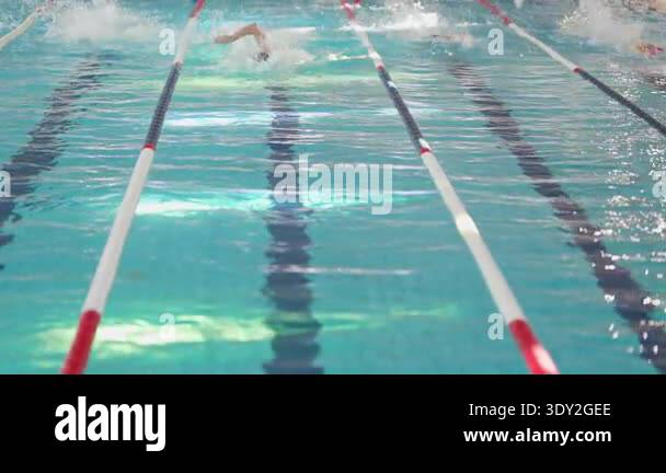 Athletes swimming freestyle in their lanes during a competitive race in ...
