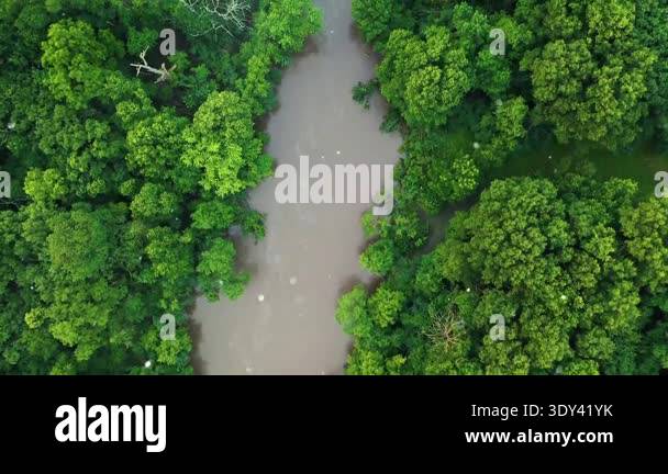 the view from the drone of the forest and the river in the rain Stock ...