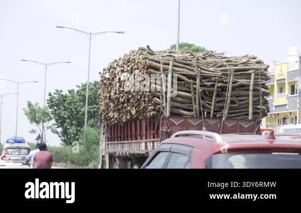 Log Cargo Truck - Transporting Wood Supply Stock Video Footage - Alamy