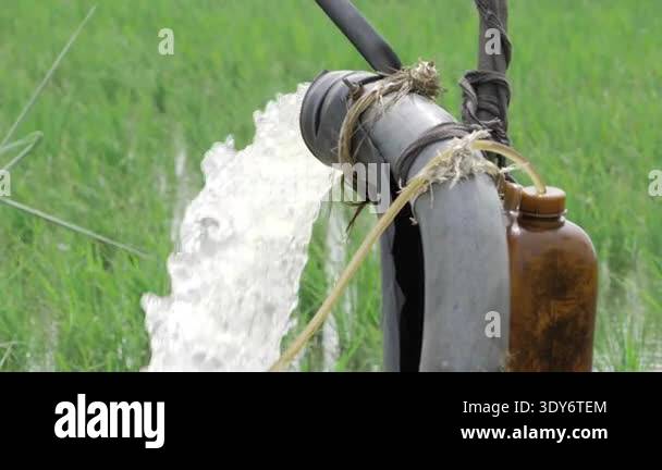 Crisp Irrigation - Efficient Watering in Action Stock Video Footage - Alamy