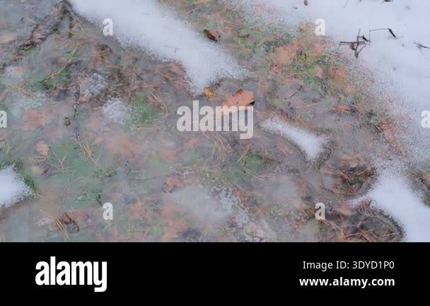 Abstract view of melting snow with dark, winding channels of meltwater ...