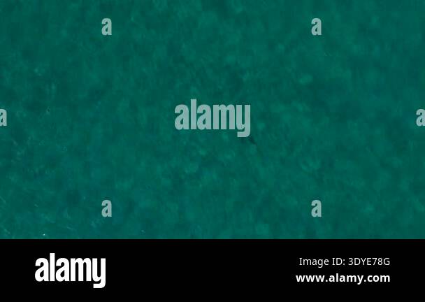 Aerial film captures sunlight glimmering on sea Stock Video Footage - Alamy