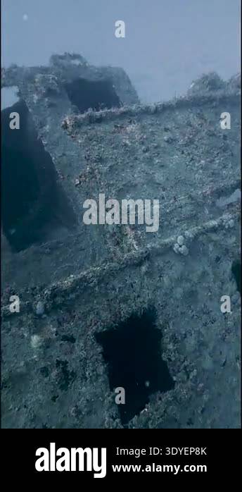 Vertical 9:16 Underwater Video of the Wreck Trail Shipwrecks in Jupiter ...
