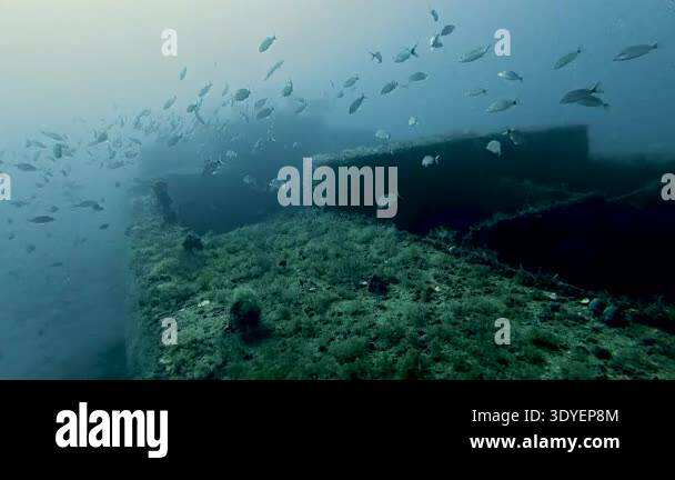 4K Underwater Video of the Wreck Trail Shipwrecks in Jupiter Florida ...