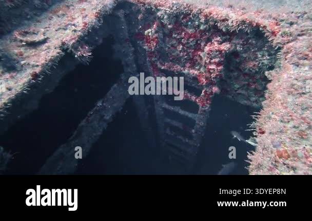 4K Underwater Video of the Wreck Trail Shipwrecks in Jupiter Florida ...