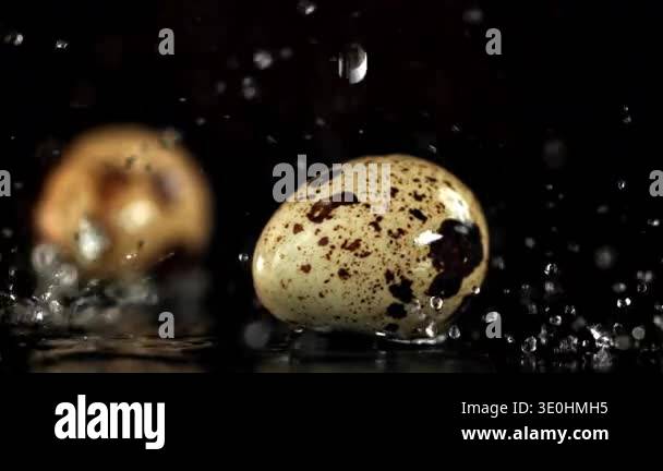 Water droplets fall on quail eggs. Filmed on a high-speed camera at ...