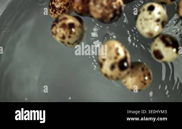 Quail eggs fall into a pot of water. Filmed on a high-speed camera at ...