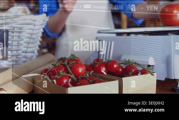 Adult woman reaching for tomatoes from trays and placing them on scale ...