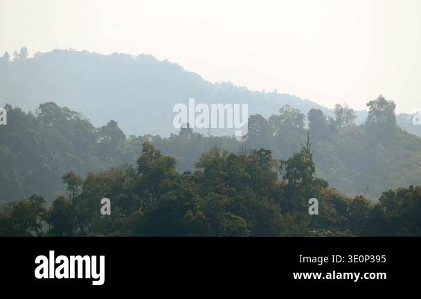 Multiple layers of forest-covered hills gradually fading into soft ...