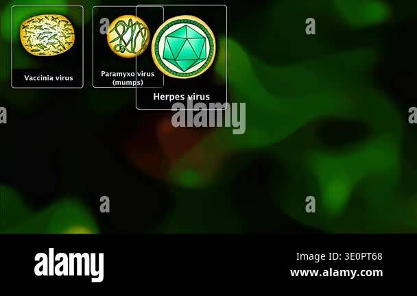 3d animation of different types of viruses showing varied shapes ...