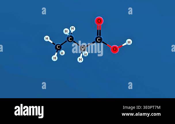 3d animation of butyric acid molecule showing chemical bonds and ...