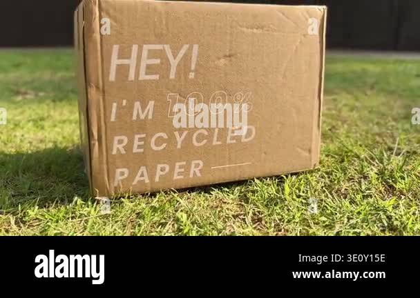 Cardboard boxes crafted from recycled paper rest on the grass, giving ...