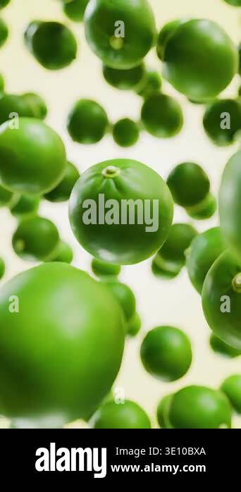 3D animation of fresh green limes falling and floating in the air ...