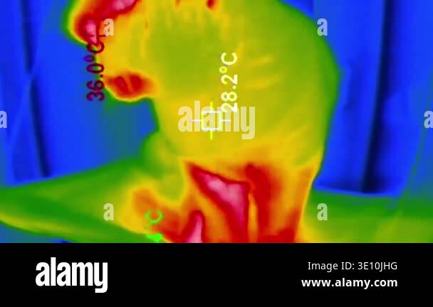 An infrared camera captures a domestic cat displaying bright body heat ...