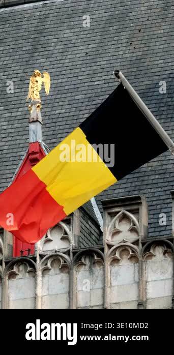 Flag of Flanders, called the Vlaamse Leeuw (Flemish Lion), is the flag ...