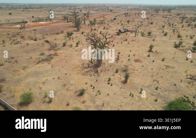 SENEGAL - 7.14.2025 - Very good aerial footage moving into a bird's eye ...