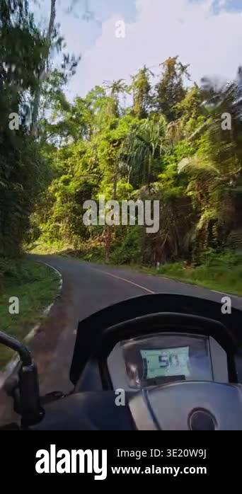 Vertical video. First Person Motorcycle Ride Along Curving Jungle Road ...