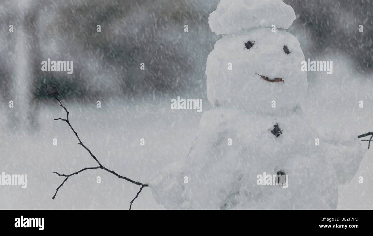 Snowman smile snowfall winter nature Stock Video Footage - Alamy