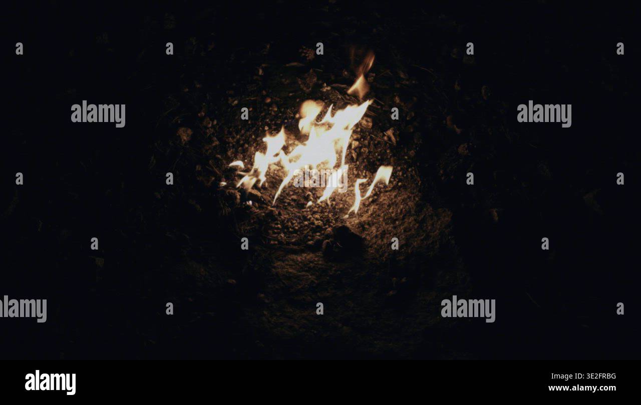 Fire Burning on Ground Stock Video Footage - Alamy