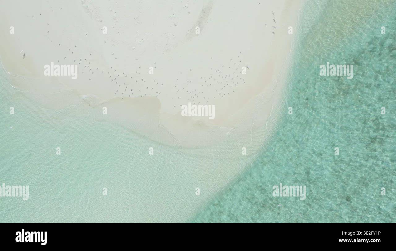 UNESCO Biosphere Reserved, Baa Atoll , Maldives Stock Video Footage - Alamy