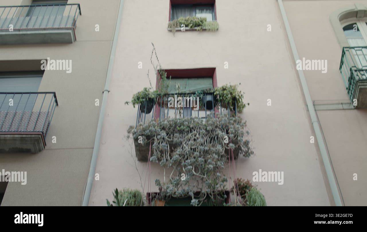 Modern woman taking photo of building on smartphone Stock Video Footage ...