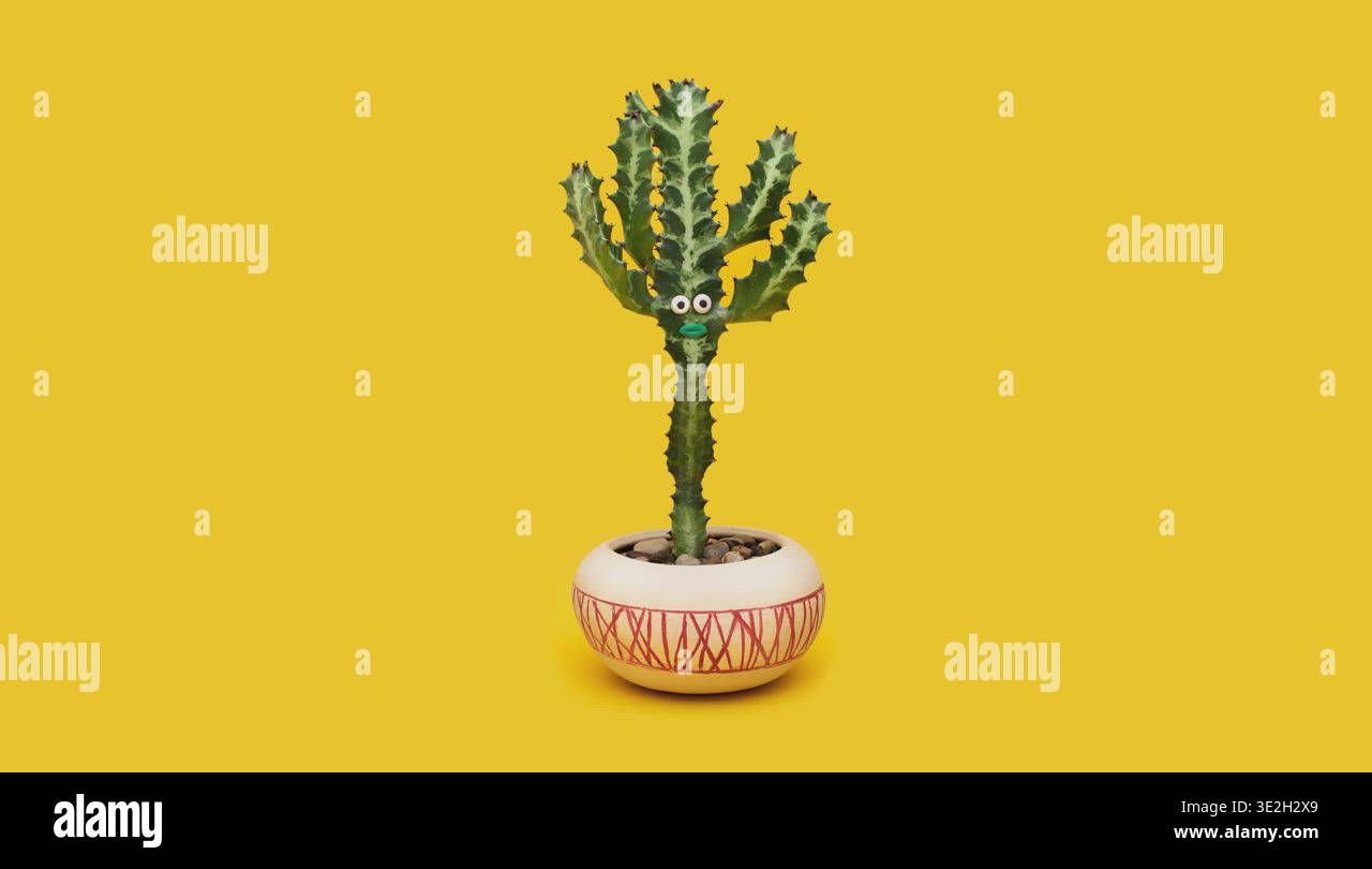 Anthropomorphic cactus stopmotion animation Stock Video Footage - Alamy
