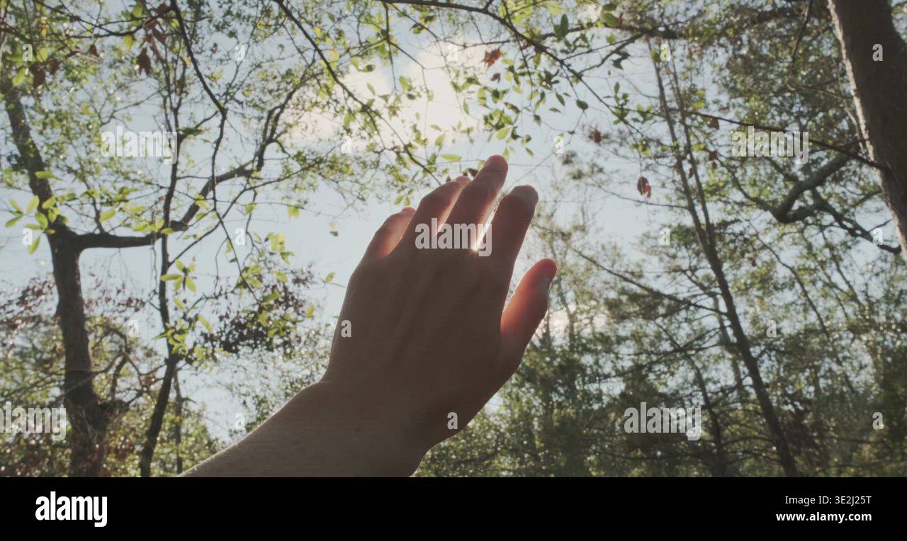 Hand Reaching Towards the Sunlight Stock Video Footage - Alamy