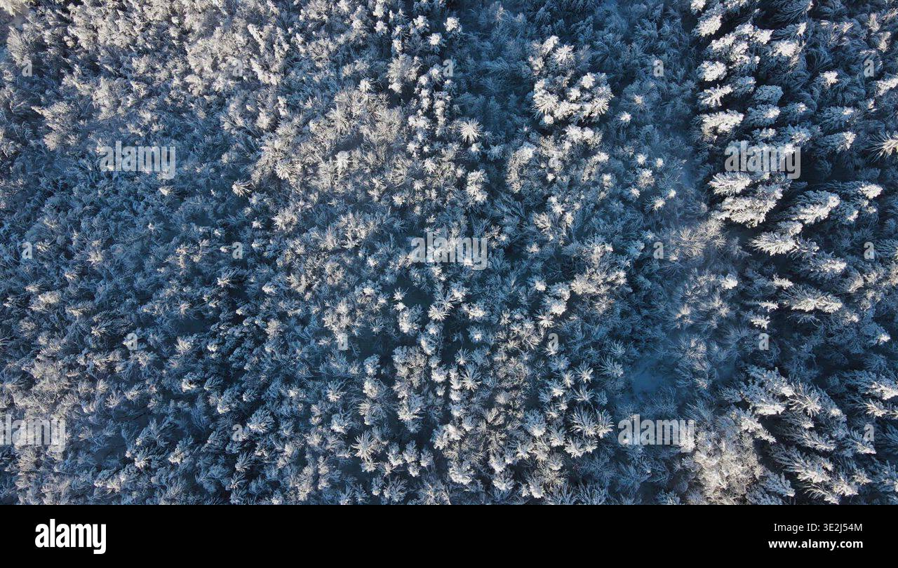 winter forest aerial landscape with rotation Stock Video Footage - Alamy