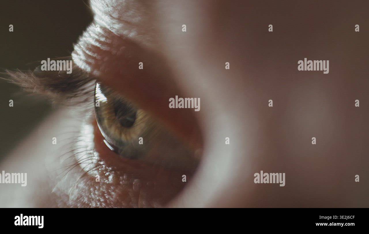 Web Scrolling Eye Watching Close-up Stock Video Footage - Alamy