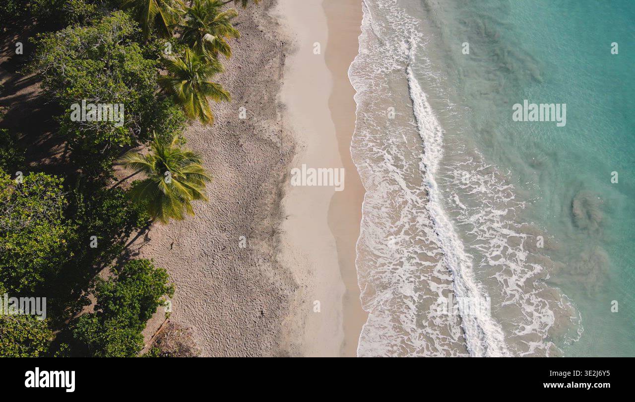 aerial view of paradise beach in Caribbean sea Stock Video Footage - Alamy