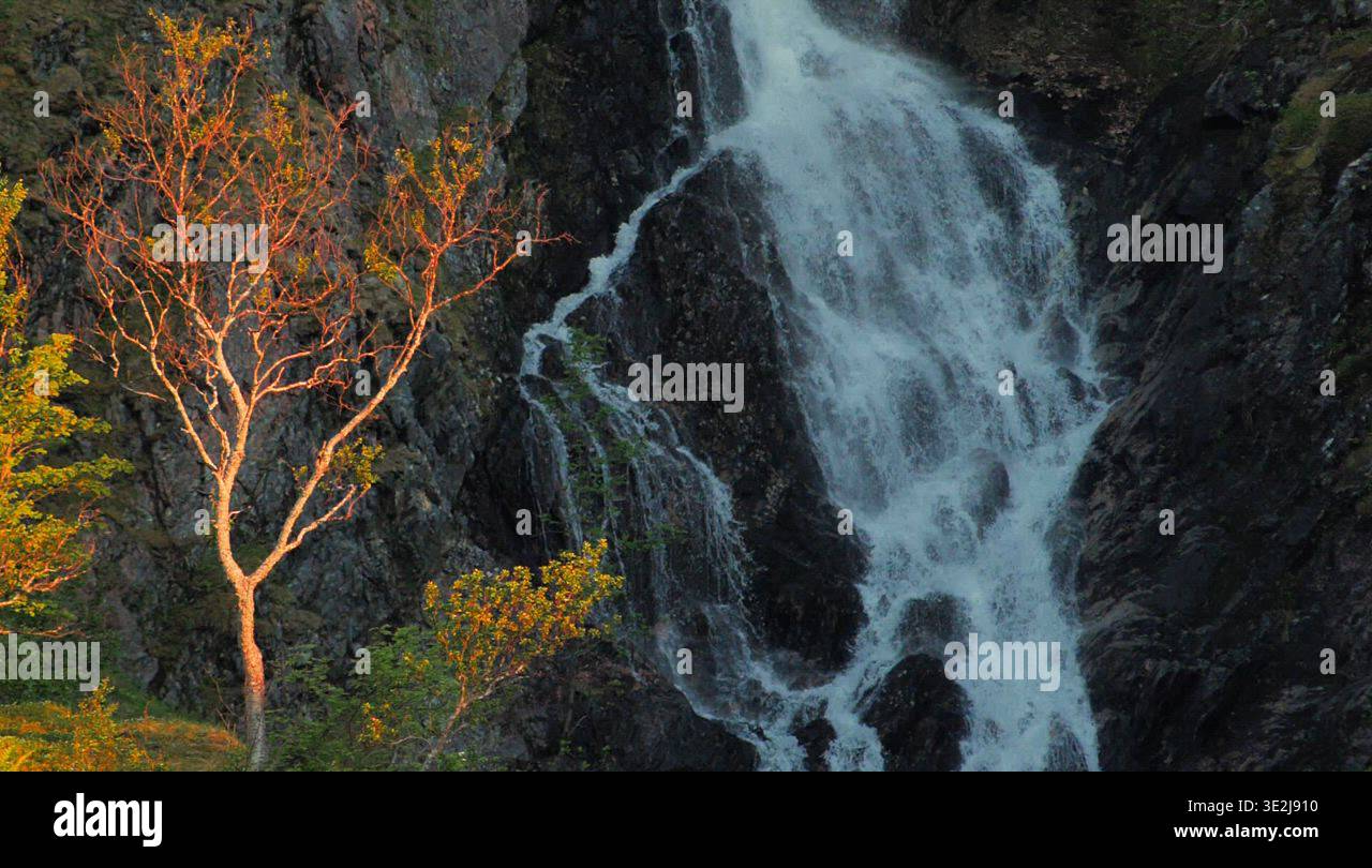 tree and waterfall scenery, slow motion Stock Video Footage - Alamy
