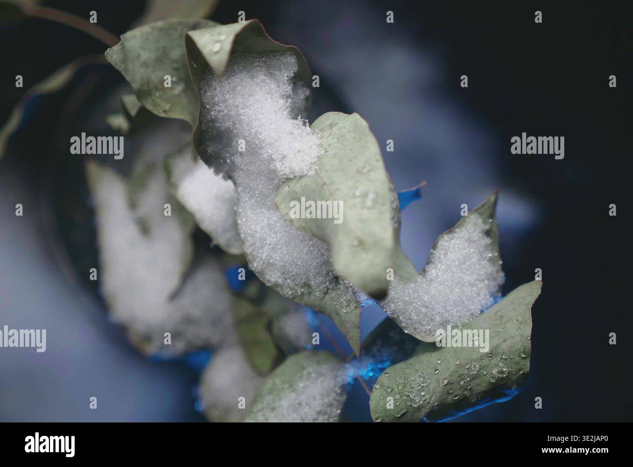 End of Winter Beginning of Spring Stock Video Footage - Alamy