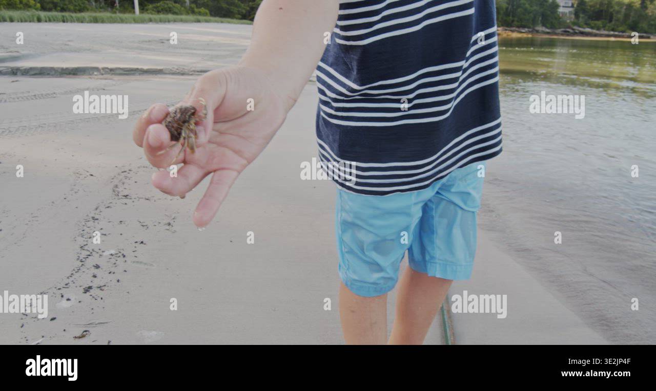 Boy holding Hermit Crab on Beach Stock Video Footage - Alamy