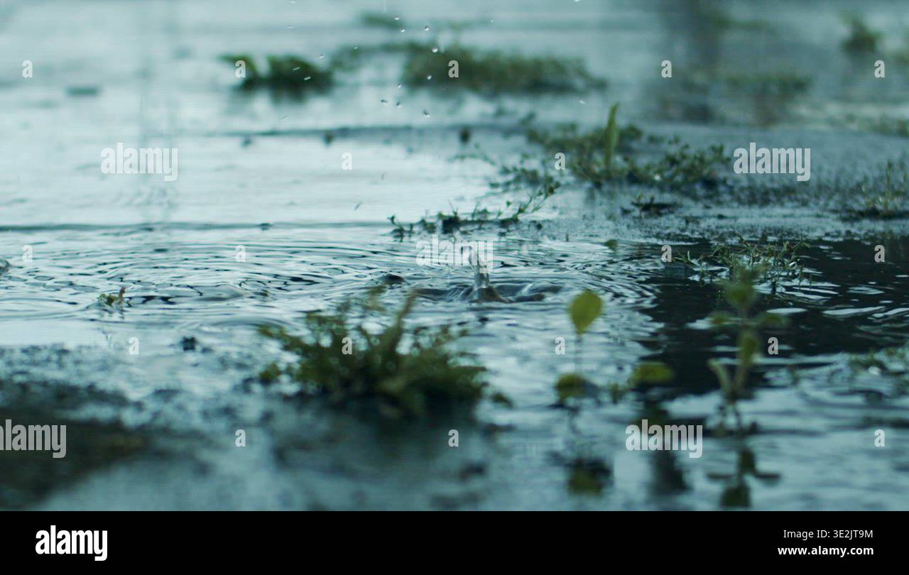 Raindrops falling into a puddle Stock Video Footage - Alamy