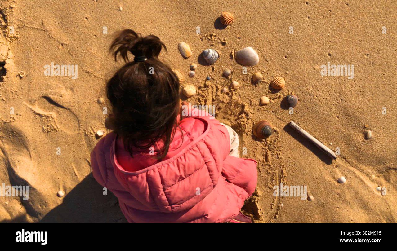Little girl collecting sea shells Stock Video Footage - Alamy