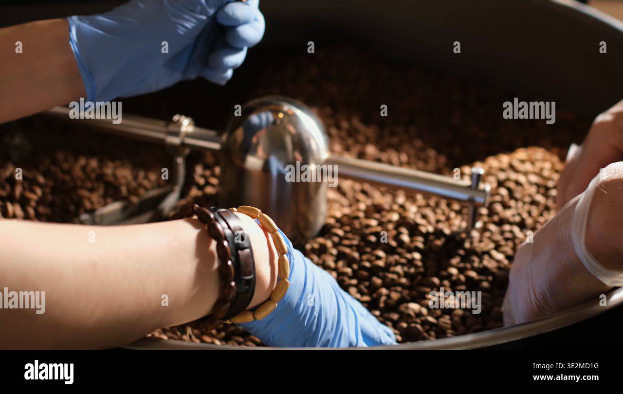 Quality control of coffee beans during roasting Stock Video Footage - Alamy
