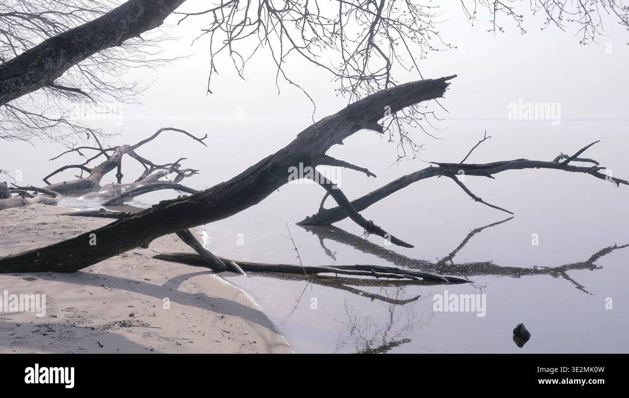 Calm Place Near Water Stock Video Footage - Alamy