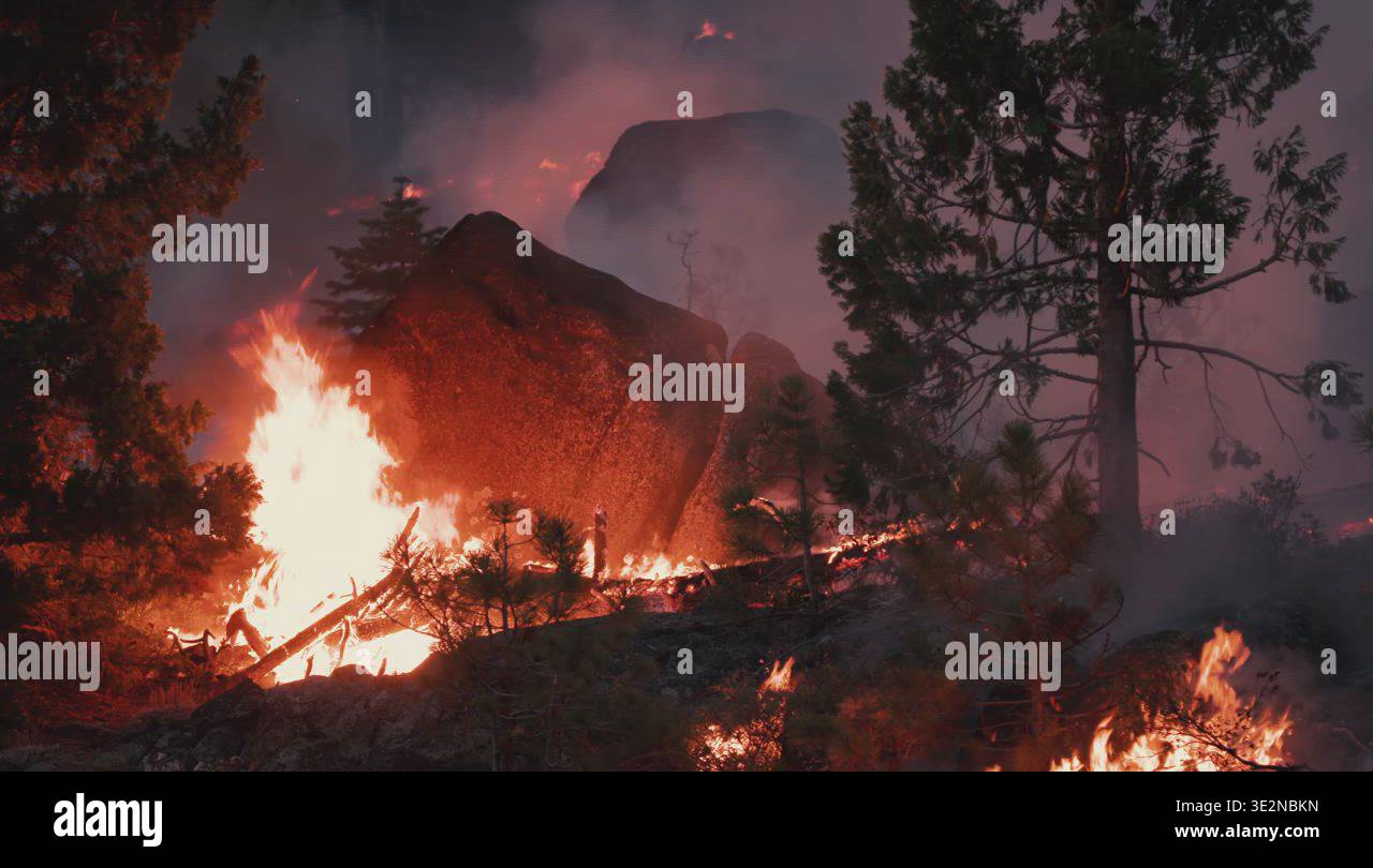 Close up of Wildfire flames in foreground and background Stock Video ...