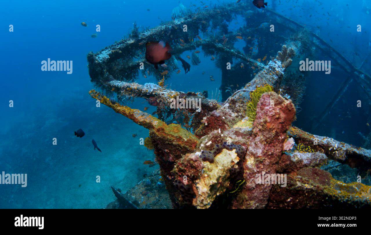 Shipwreck underwater. Coral fish and shipwreck on the sandy in blue ...