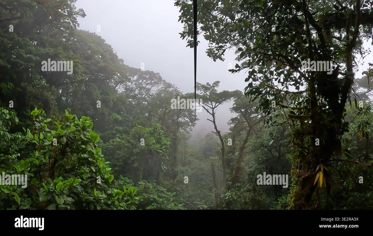 sliding on a zip line over the rainforest jungle Stock Video Footage ...