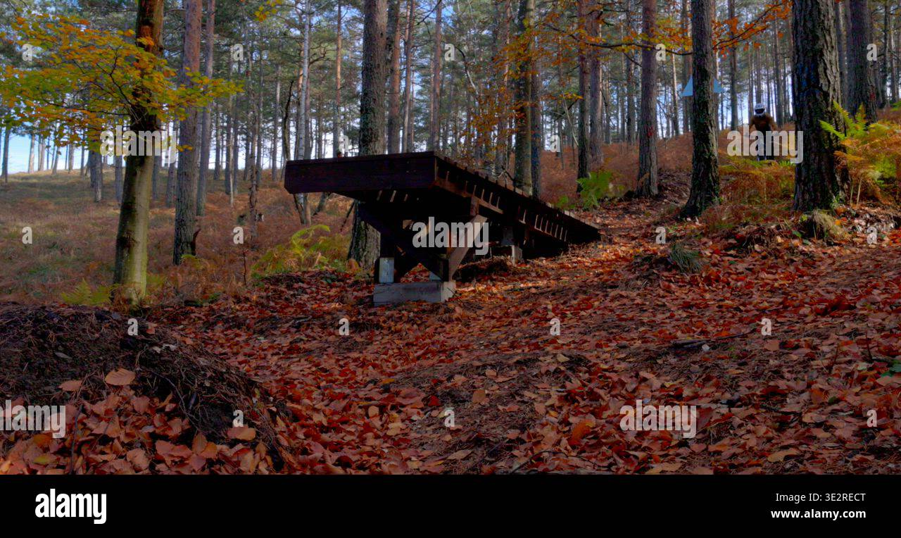 Cyclist makes the leap over a forest ramp Stock Video Footage - Alamy