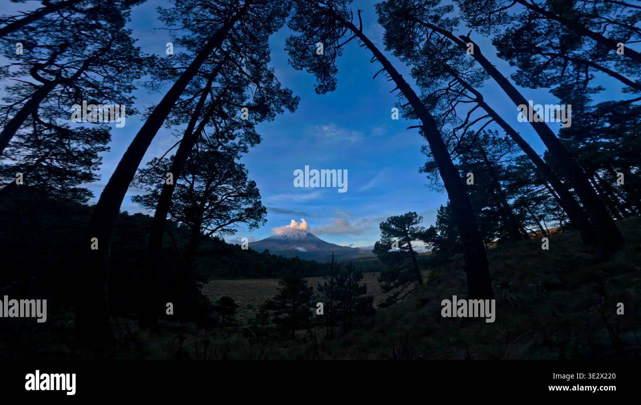 Popocatepetl volcano erupting smoke behind trees at dusk Stock Video ...