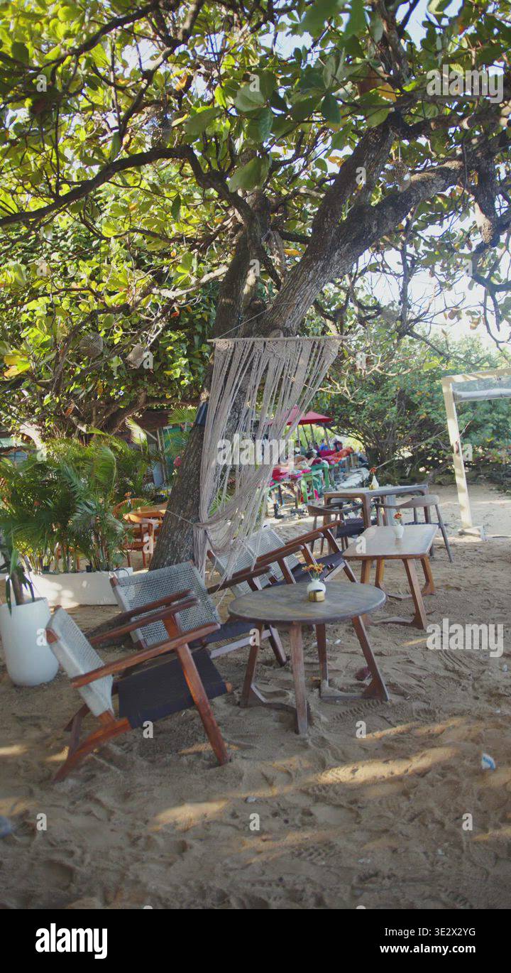 Cozy Beachside Seating Area Under Lush Trees in Sunny Weather Stock ...