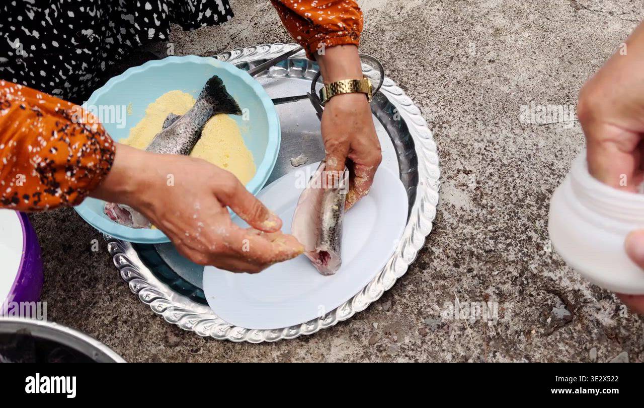 Hands Preparing Fresh Fish With Cornmeal Coating in an Outdoor Setting ...