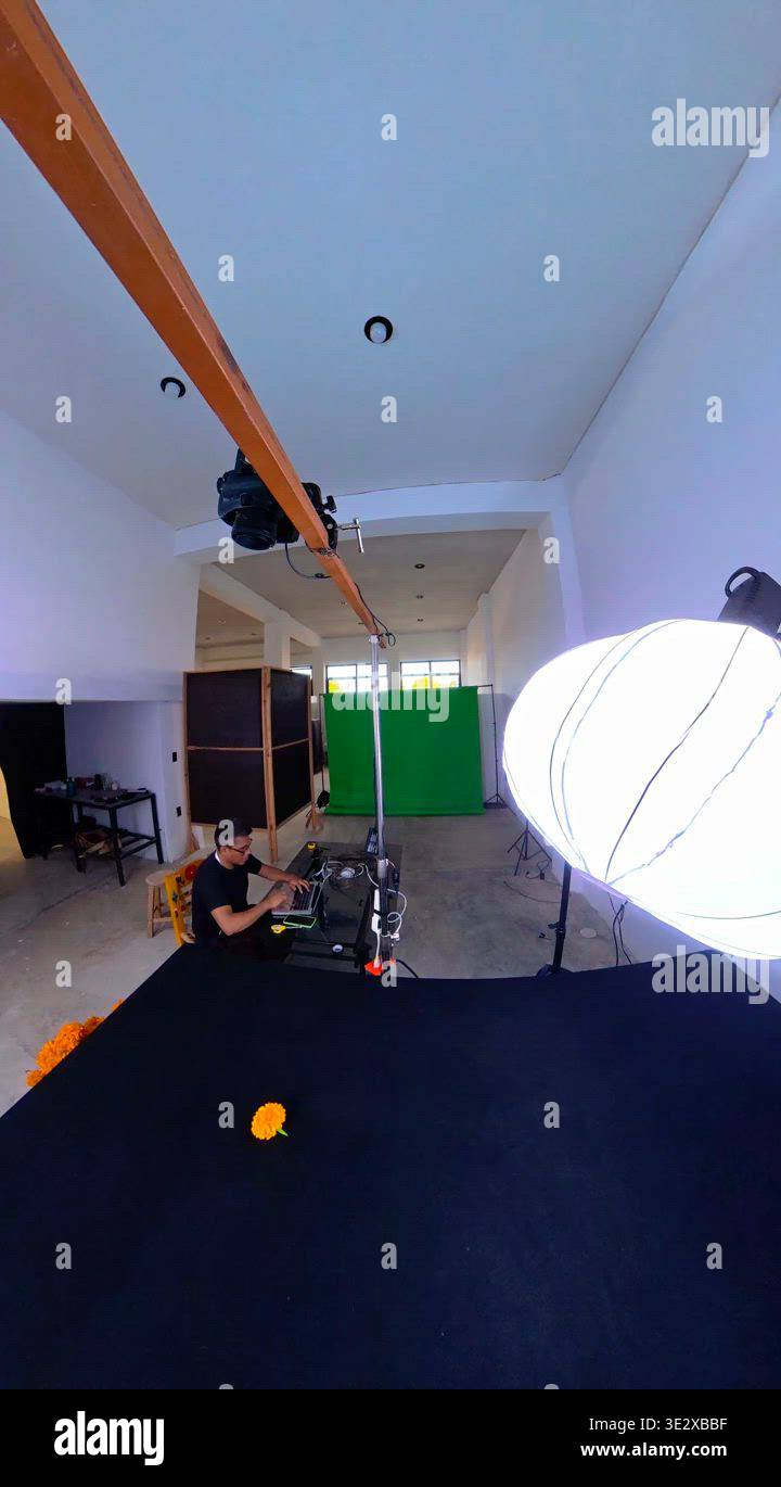 Marigold cempasuchil flowers forming figures animation Stock Video ...