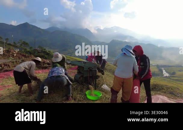 Asia, Vietnam, Sapa - 03, 11, 2026: Hmong, Tay, and Yao. Hmong ...