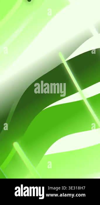 Green Leaves with Light Reflections Stock Video Footage - Alamy